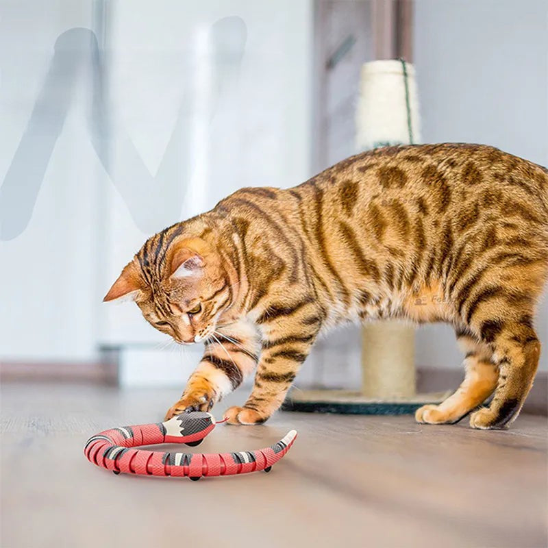 Smart Snake Cat Toy - Automatic Interactive Teaser with USB Charge ...
