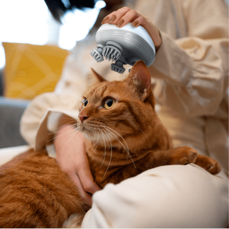 Soothing Electric Cat Massager for Ultimate Pet Relaxation – CATSHEE